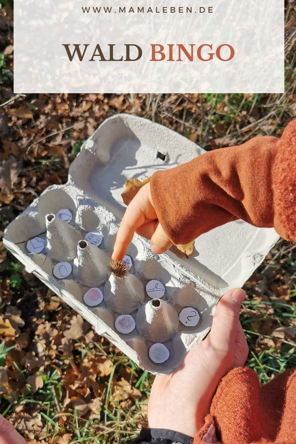 Wald Bingo im Eierkarton - Spaß im Wald mit Kindern