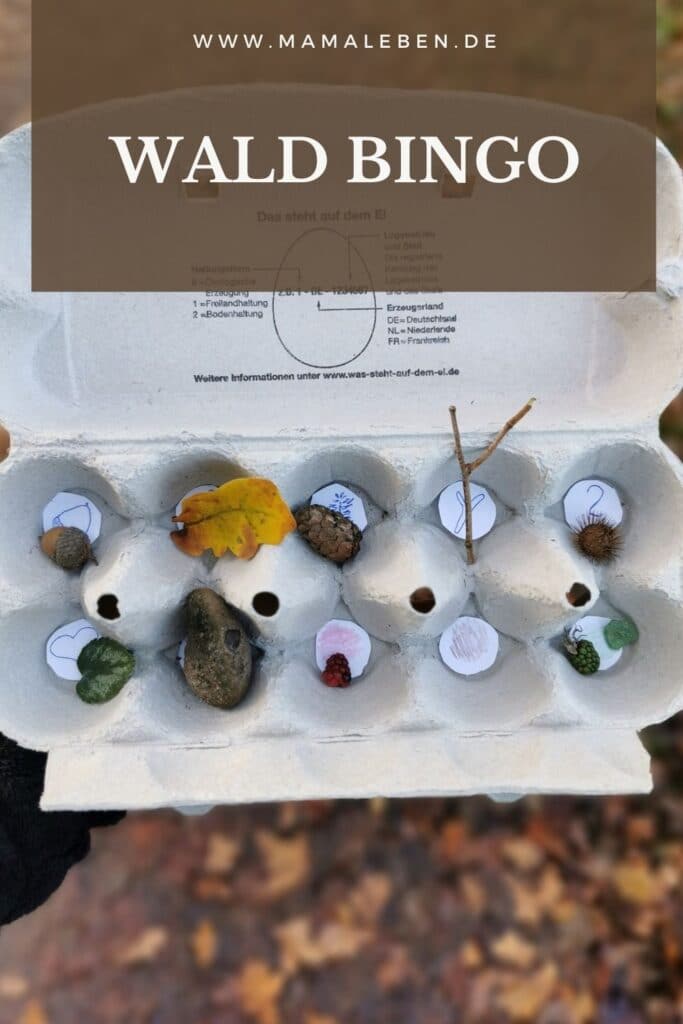 Wald Bingo im Eierkarton - Spaß im Wald mit Kindern
