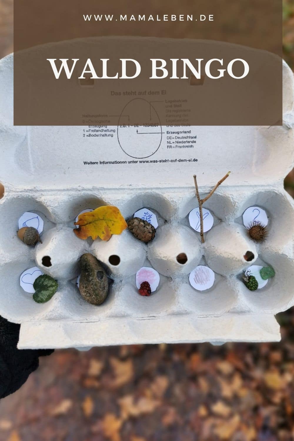 Wald Bingo im Eierkarton - Spaß im Wald mit Kindern