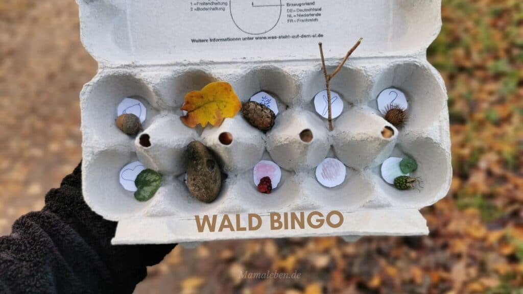 Wald Bingo im Eierkarton - Spaß im Wald mit Kindern